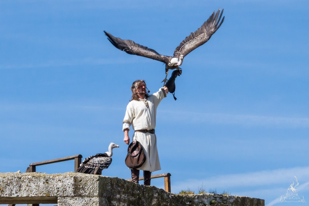 Horaires du spectacle Les Aigles des Remparts à Provins (77)